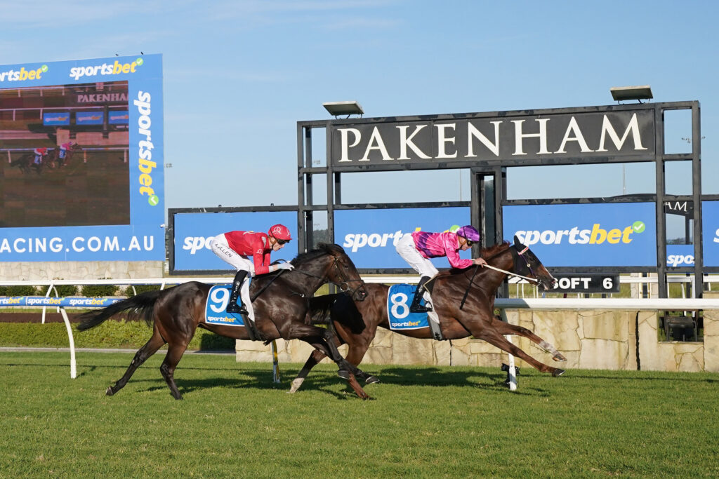15/6/2026 Horse Racing Tips and Best Bets – Pakenham | Just Horse Racing