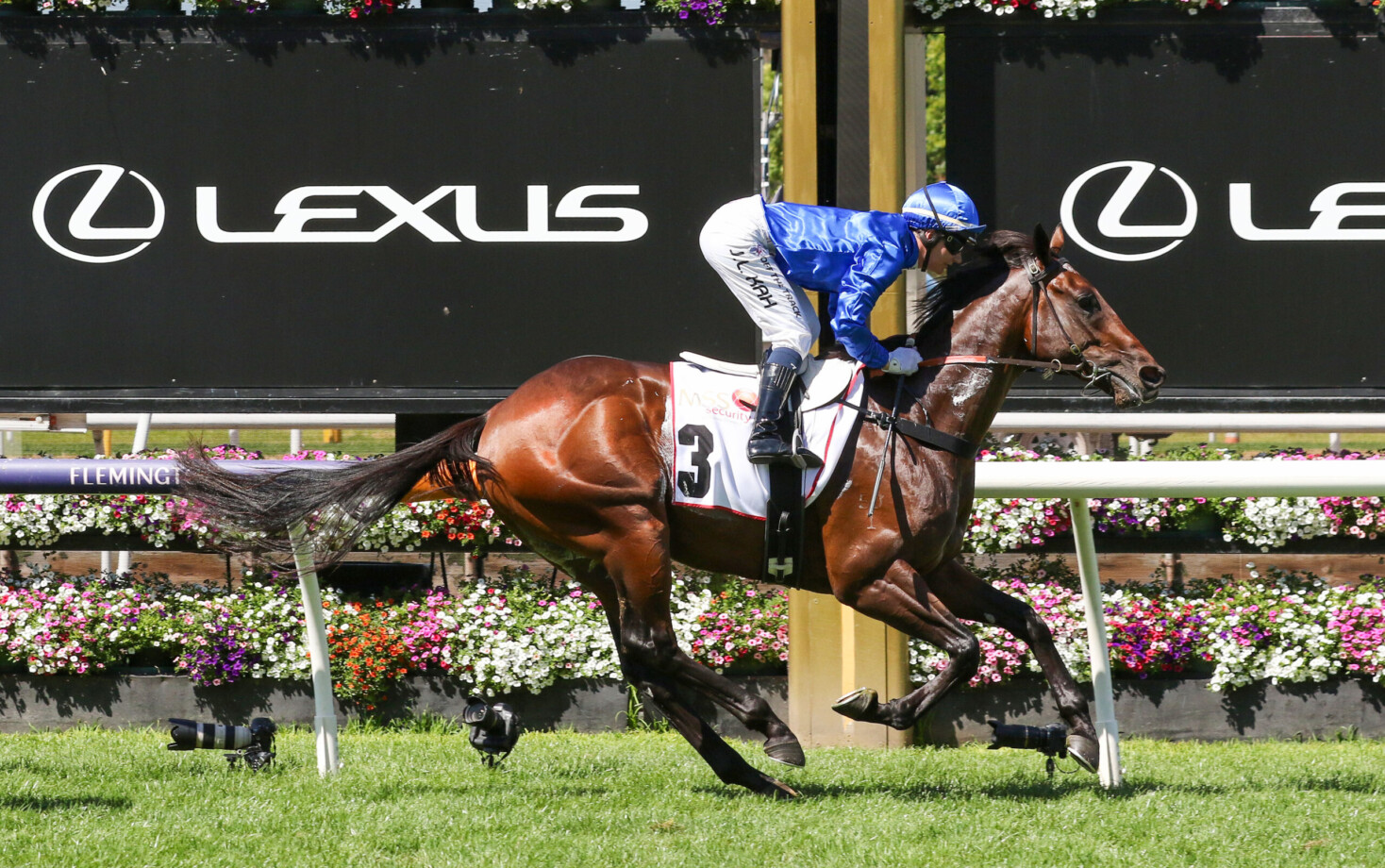 VRC Sires' Produce Stakes 2025 Field, Tips, Betting Odds, Results