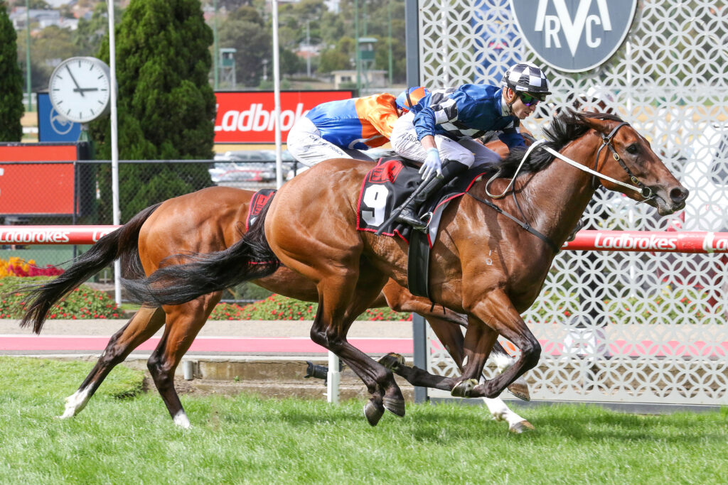 Vibrant Sun tops record Magic Millions Digital Sale | Just Horse Racing