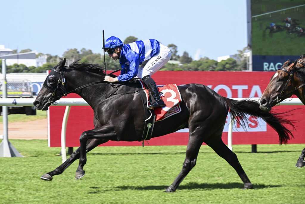 Freedman’s Australian Derby hope has Mark of a good horse | Just Horse ...