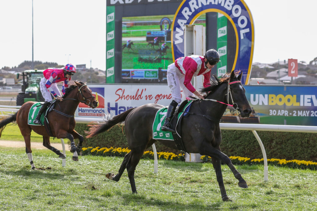 Affluential brave in Grand National Hurdle win | Just Horse Racing