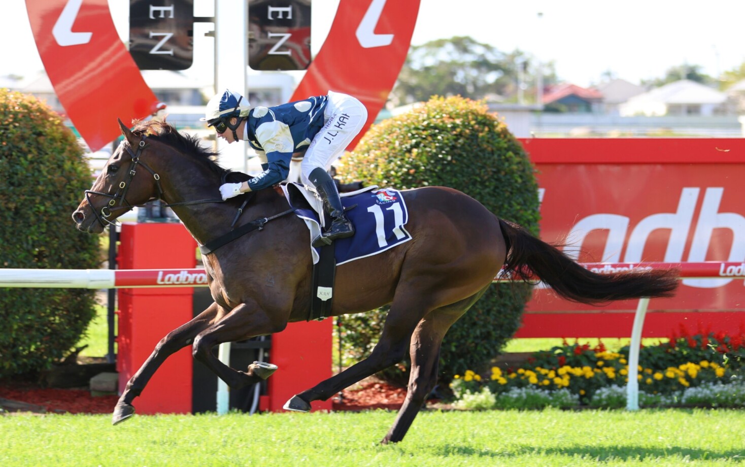 Wide draw for Gringotts in The Big Dance | Just Horse Racing