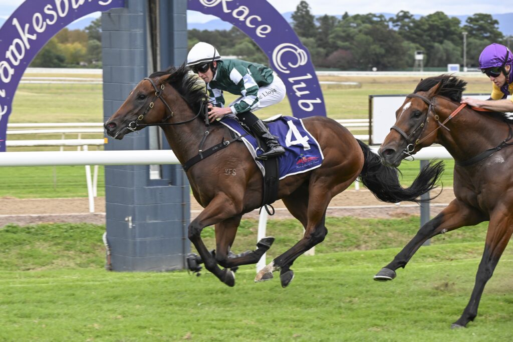 Team Snowden colt has World at his feet | Just Horse Racing