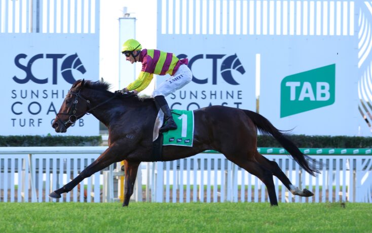 The signs are good for Numerian to repeat Ted Van Heemst heroics | Just ...