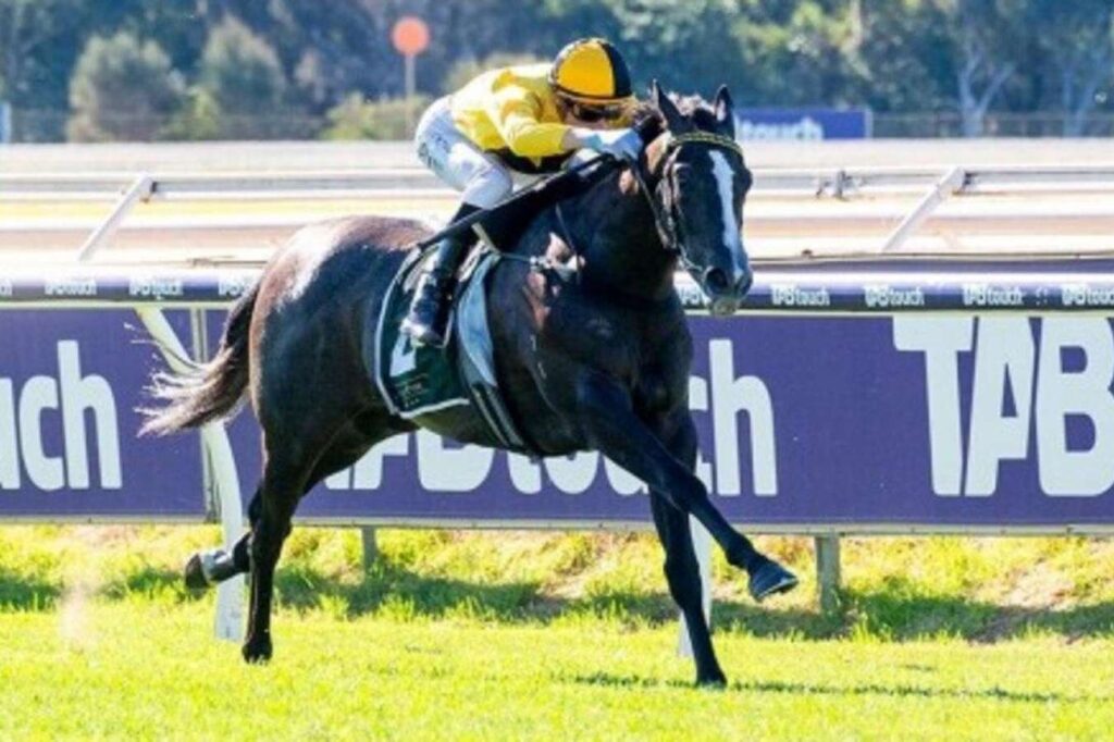 Bustling back after almost two years | Just Horse Racing