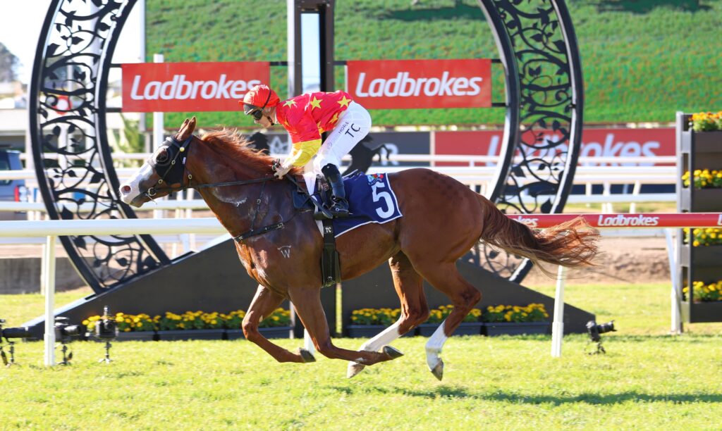 Tulloch Lodge tackles Theo Marks Stakes with Bases Loaded | Just Horse ...