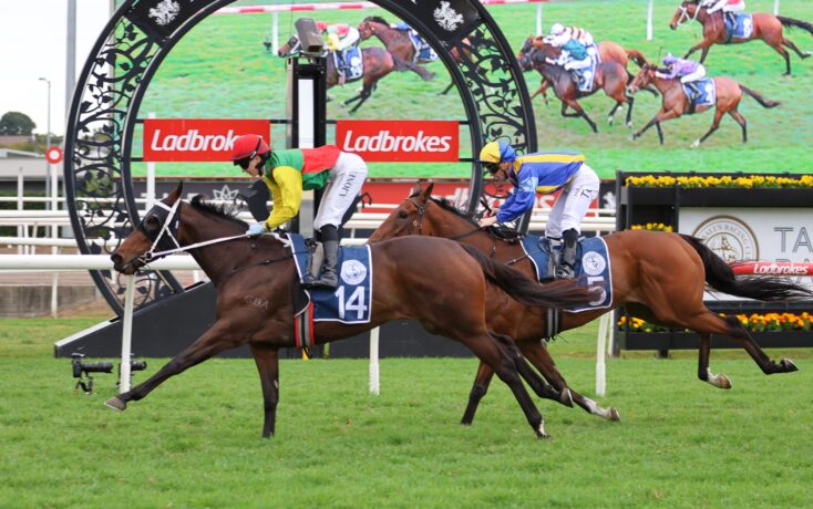 Silk Stocking nominations – 2025 | Just Horse Racing