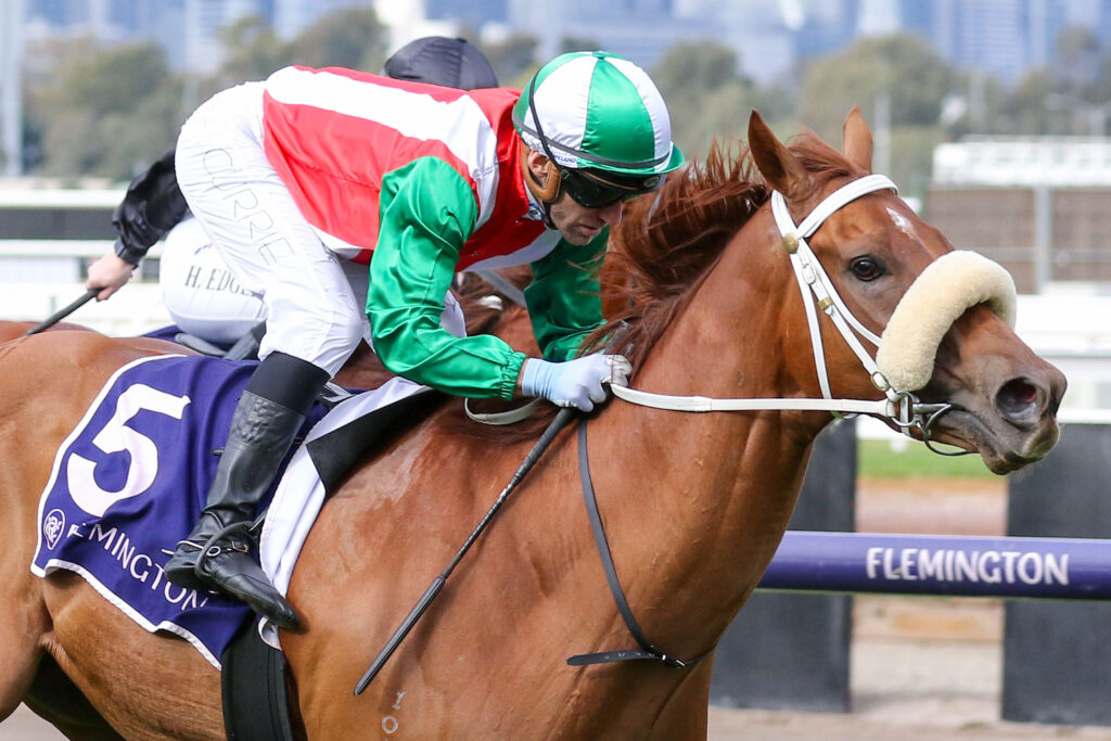 Clear running helps exciting import Craig bounce back | Just Horse Racing