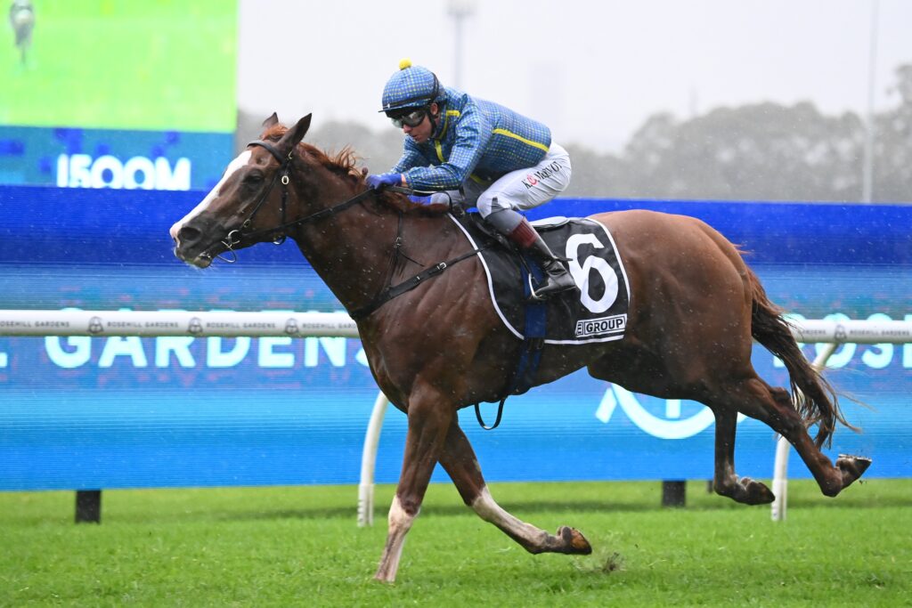 ‘Kevin’ McEvoy back in weekend winner’s stall at Rosehill | Just Horse ...