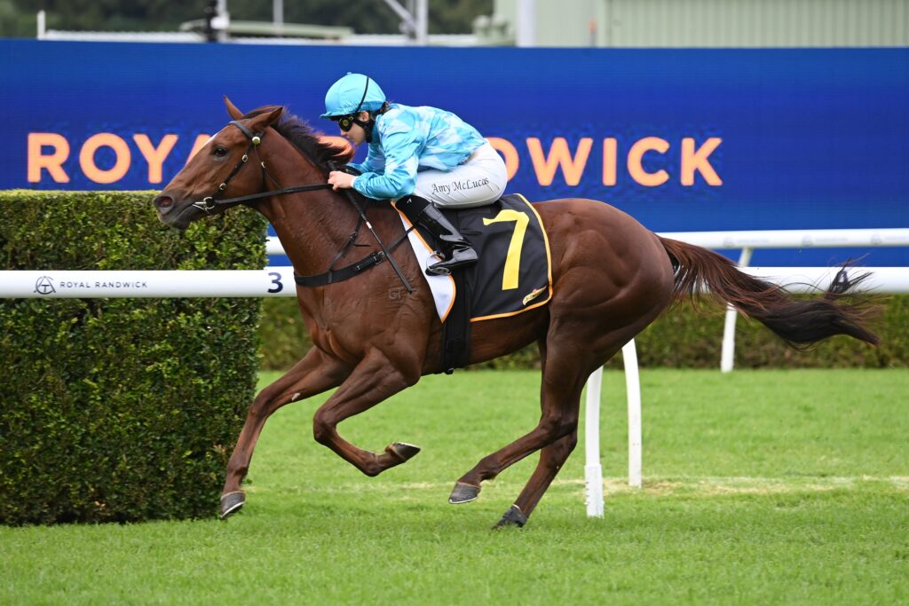 Amy McLucas guides Madrina to overdue win | Just Horse Racing