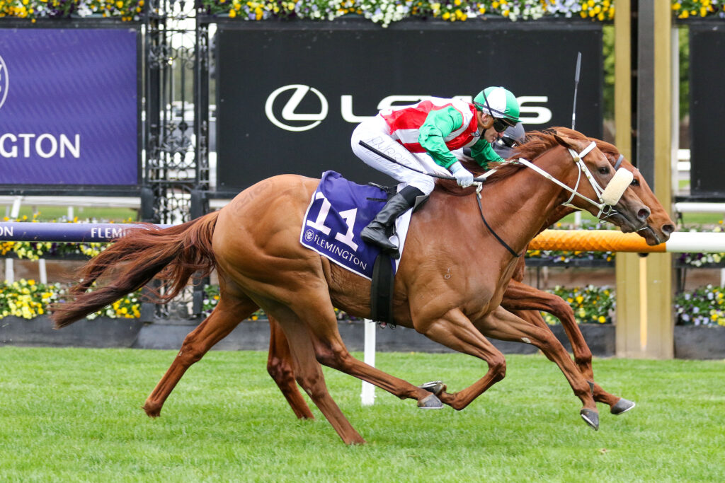 Craig set to bounce back at Flemington | Just Horse Racing