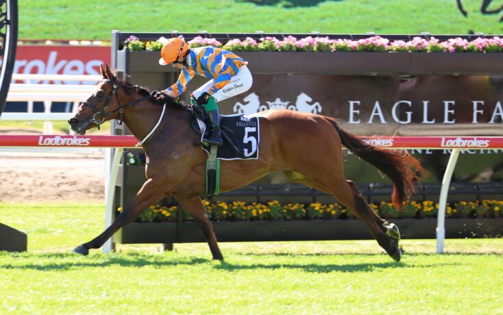 Lockwood and Vincent eye dream start with Battlefield at Eagle Farm ...