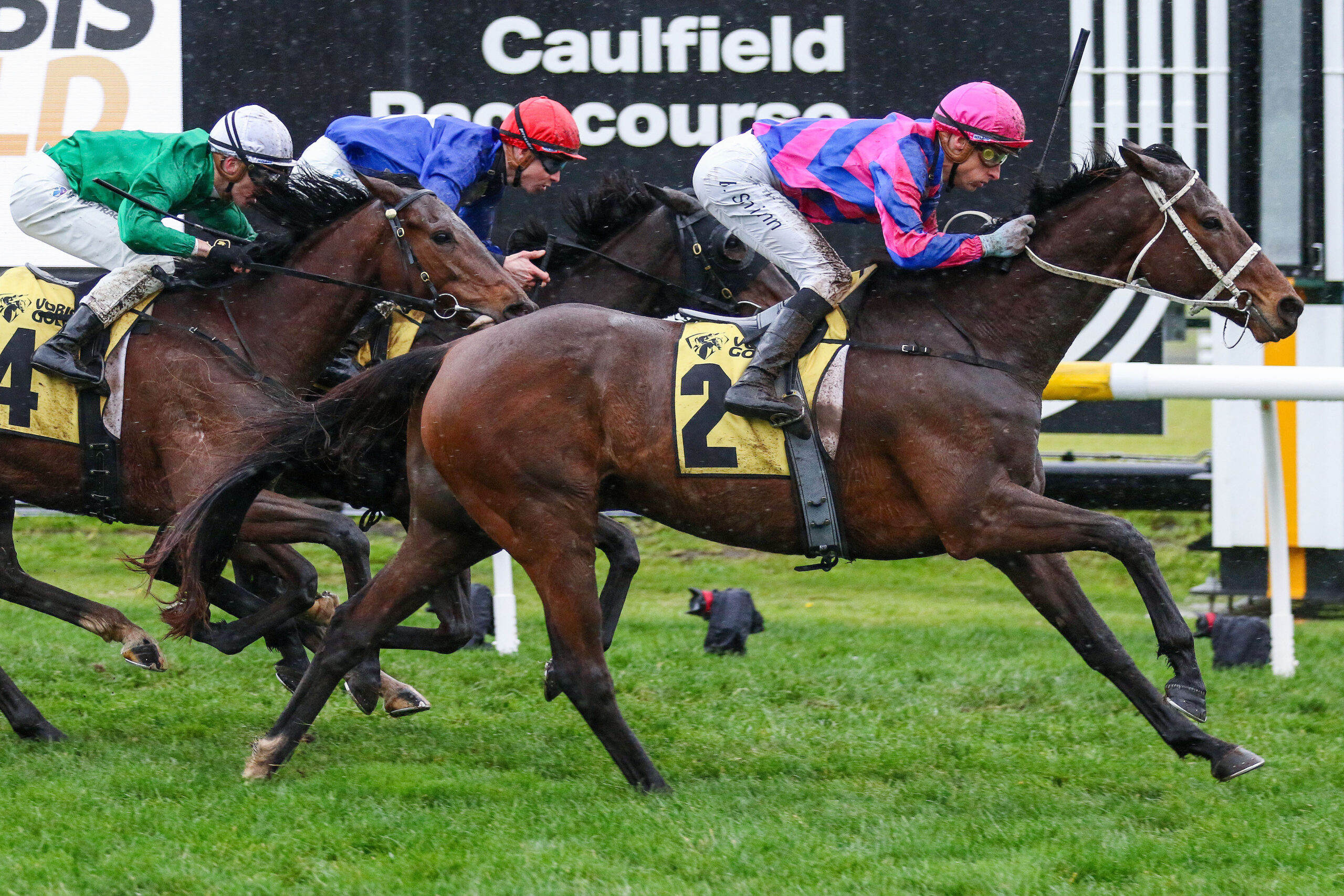 Local trainer Ryan chasing another Warrnambool Cup | Just Horse Racing