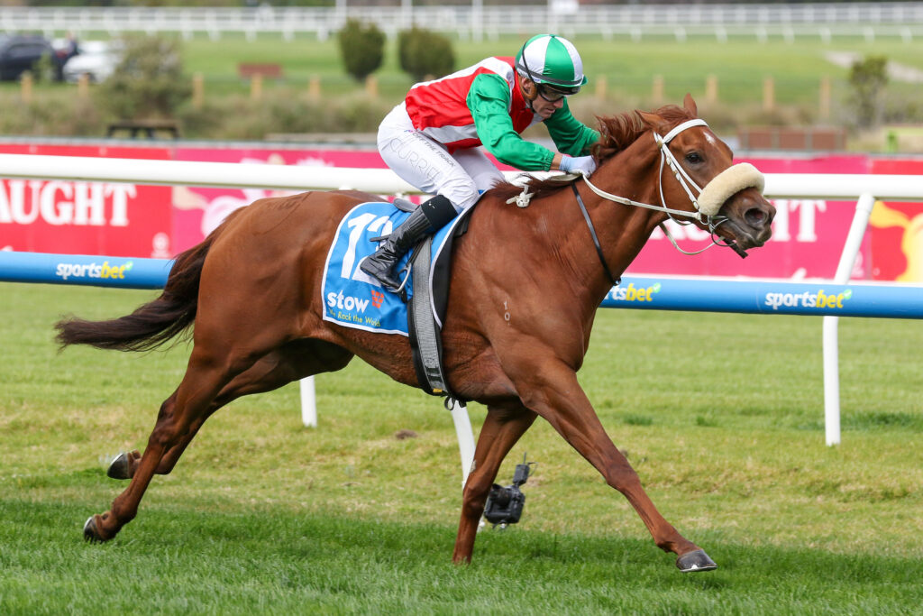 Craig sticks with Craig in Lord Stakes | Just Horse Racing