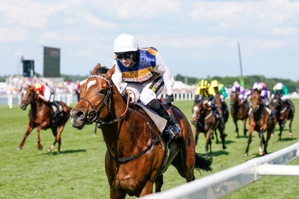 Cox Plate contender in doubt to race | Just Horse Racing