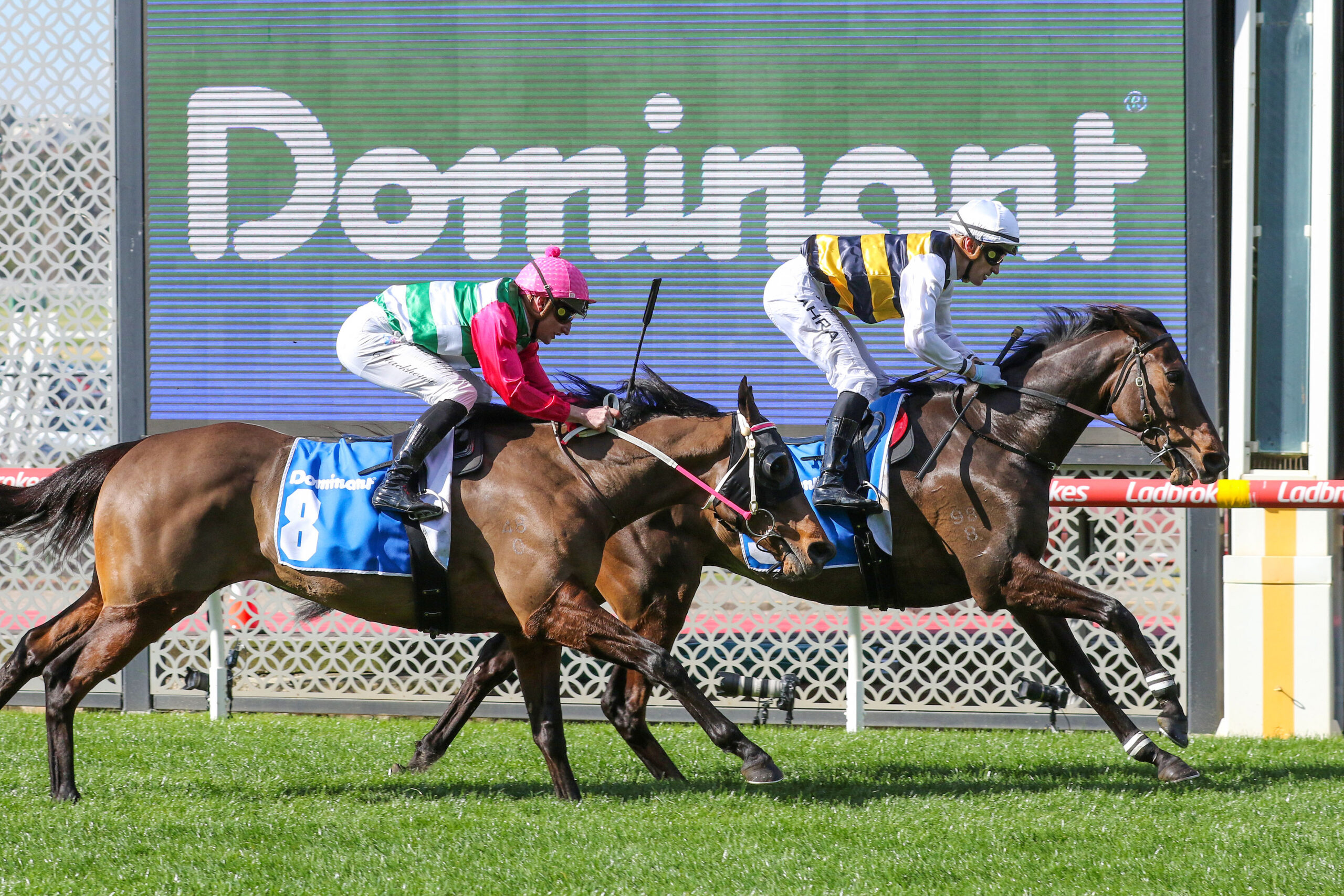 Benalla Cup 2025 – Field, Odds, Betting, Tips, and Horse Previews ...
