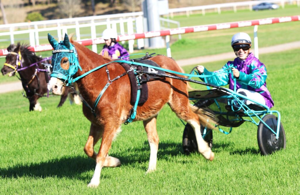Mini trotters experience tops off a big weekend for Cartwright | Just ...