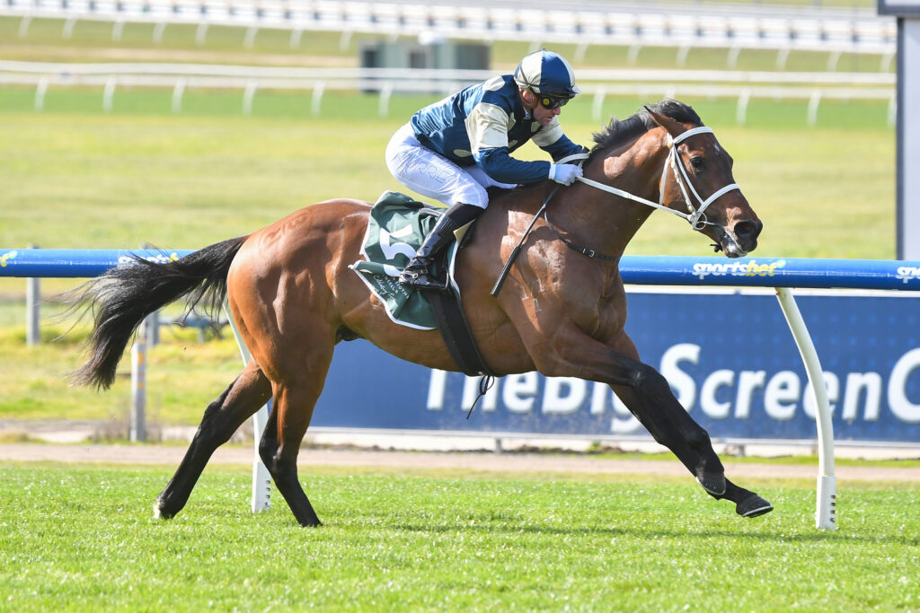Daggers puts rivals to the sword | Just Horse Racing
