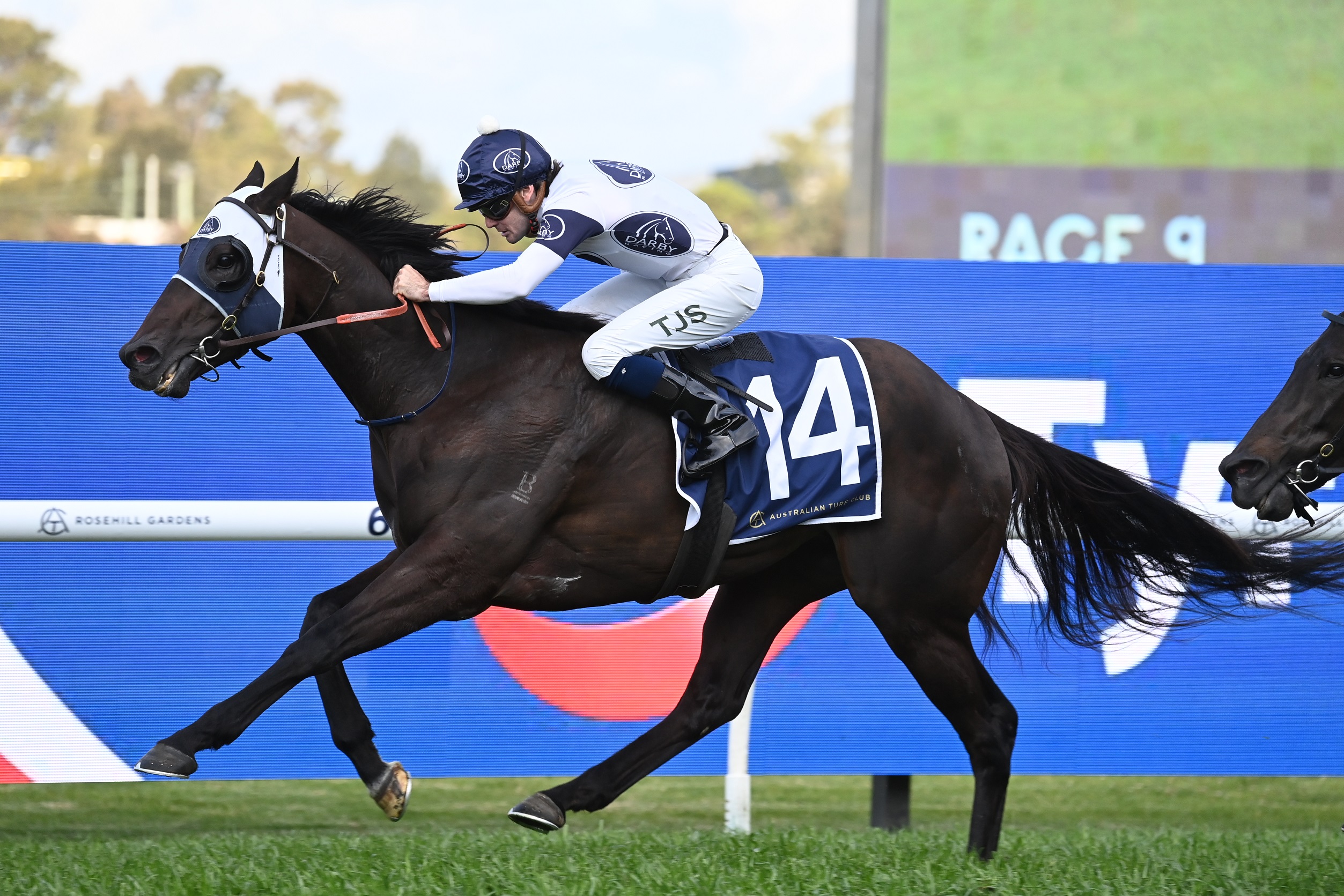 Gong another stepping stone in Victorious comeback | Just Horse Racing