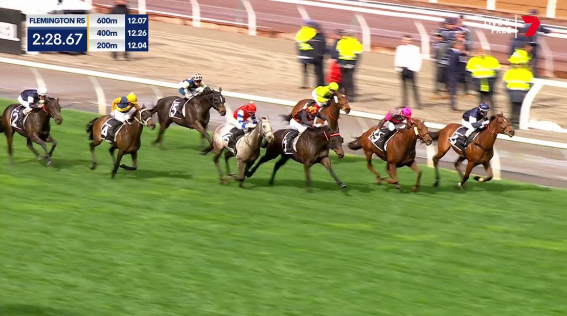 Archer Stakes results and replay – (Point King) 2024 | Just Horse Racing