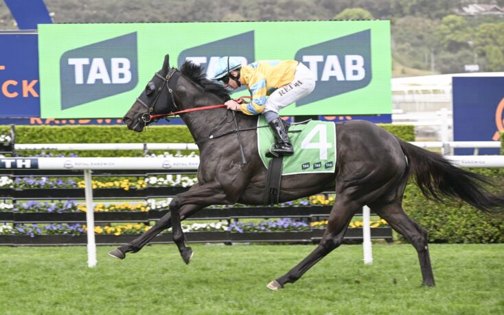 Eyes on Melody Again at Magic Millions National Broodmare Sale | Just ...