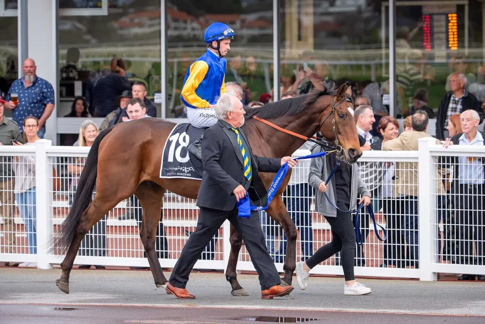 Black Heart Bart Stakes: In honour of a champion | Just Horse Racing