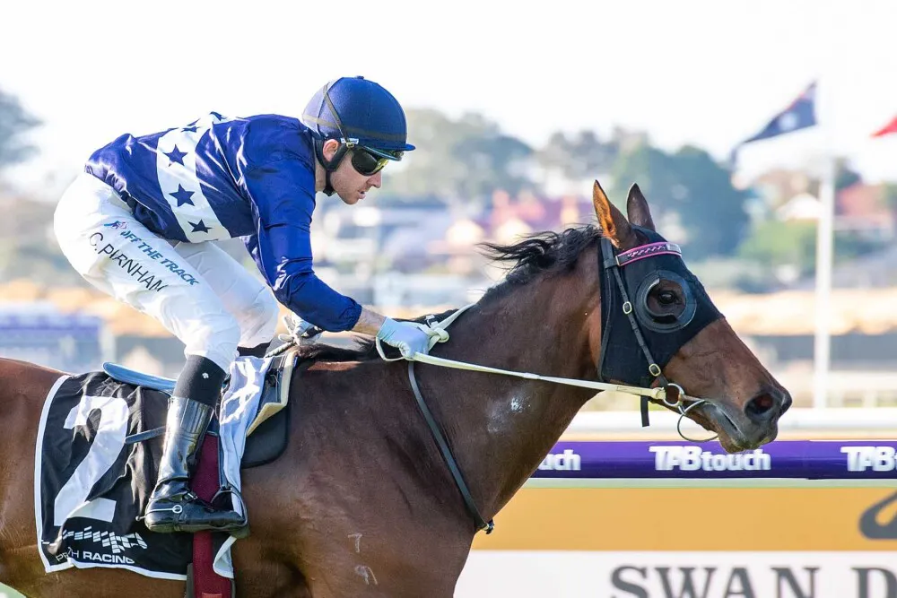 Fernie’s Man Crush on Hannans victory | Just Horse Racing