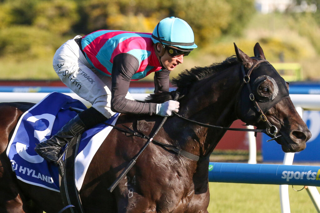 Blake Shinn to reunite with Antino in Hong Kong Mile | Just Horse Racing