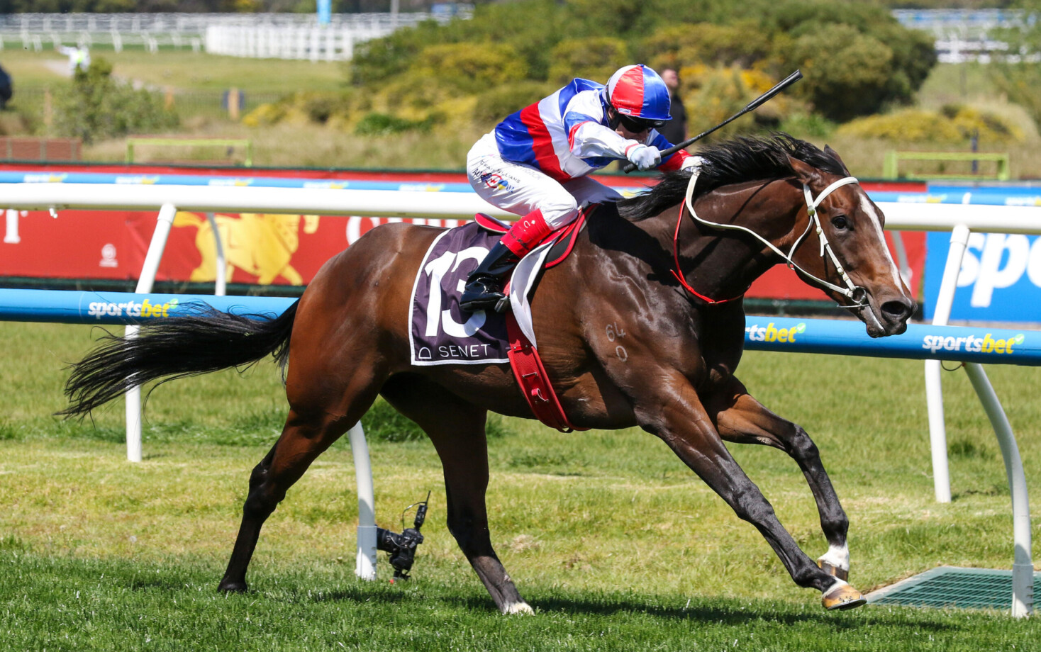 Standish Handicap nominations – 2026 | Just Horse Racing