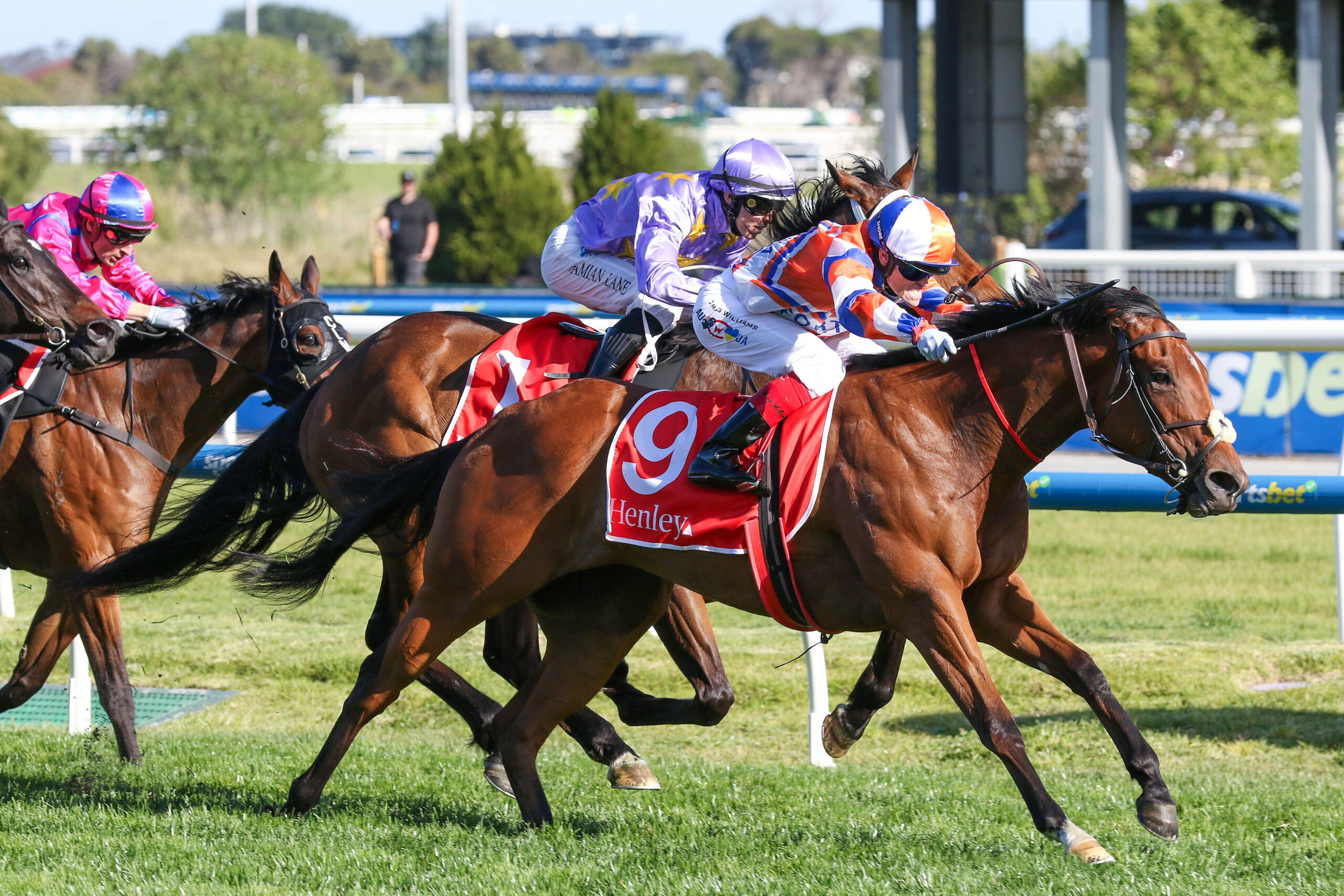 Bellatrix Star’s makes a remarkable return to racing | Just Horse Racing