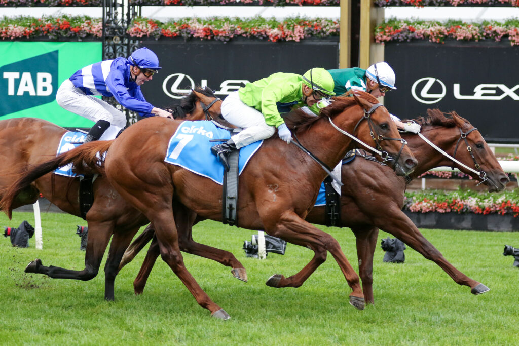 Quinella for Cranbourne pair in Danehill Stakes | Just Horse Racing