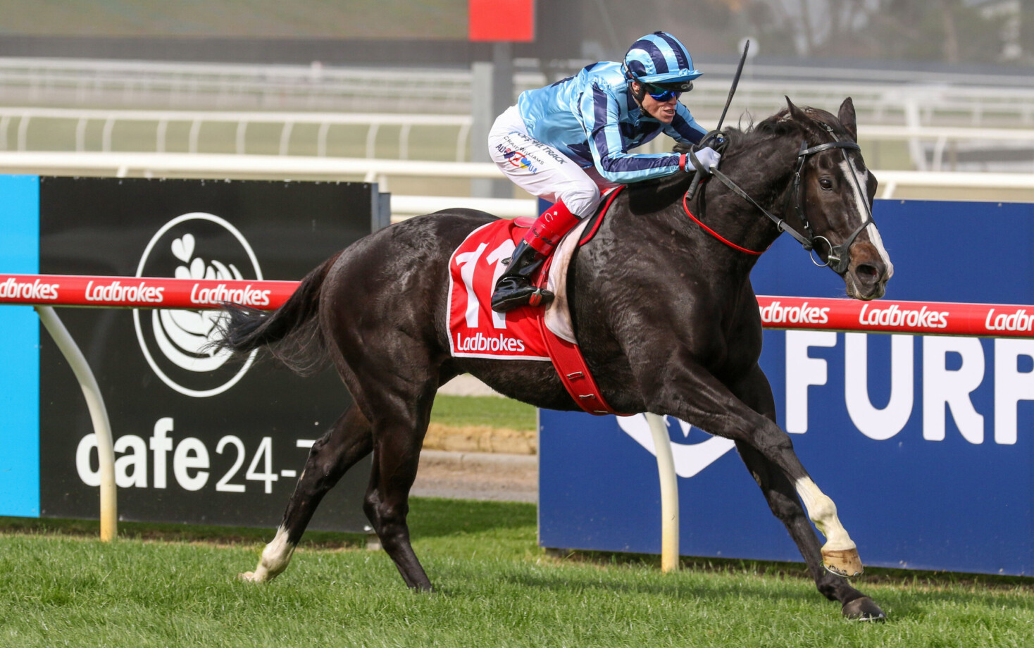 Melbourne Cup golden ticket on offer in Moonee Valley Cup | Just Horse ...