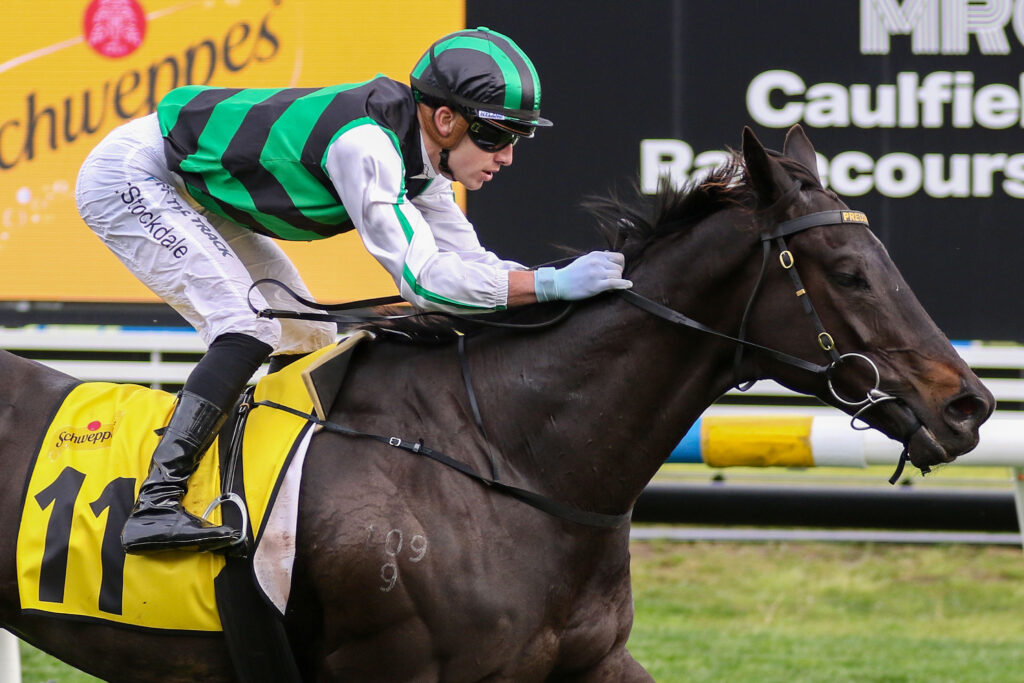 Pride’s new Poison to Civic Stakes | Just Horse Racing