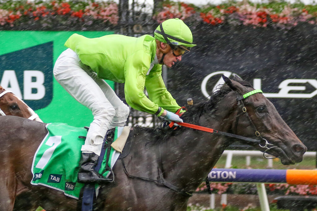 Ethereal Stakes run to shape Too Darn Discreet’s Spring campaign | Just ...