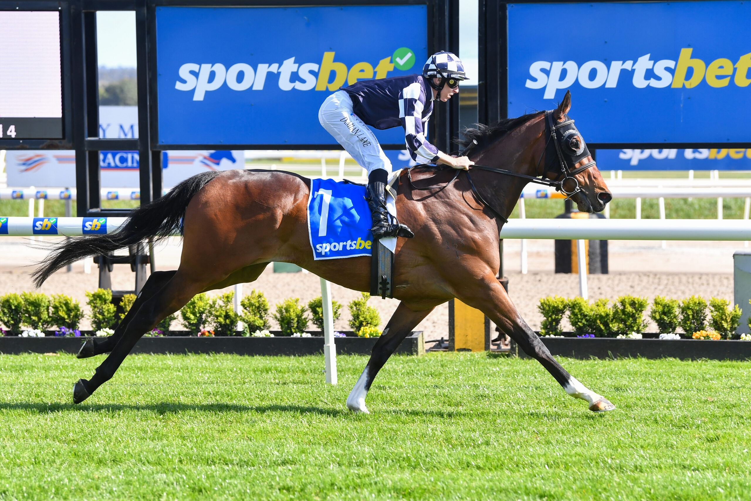 Sportsbet CEO Barni Evans to take global role with Flutter | Just Horse ...