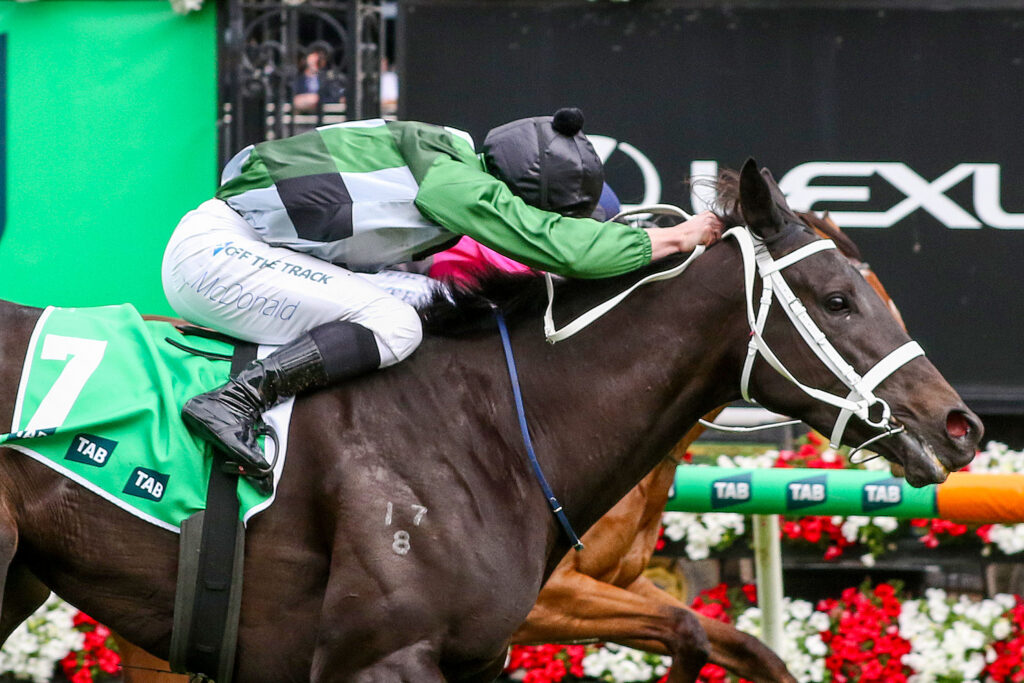 Waller’s triple treat for the Millie Fox Stakes | Just Horse Racing