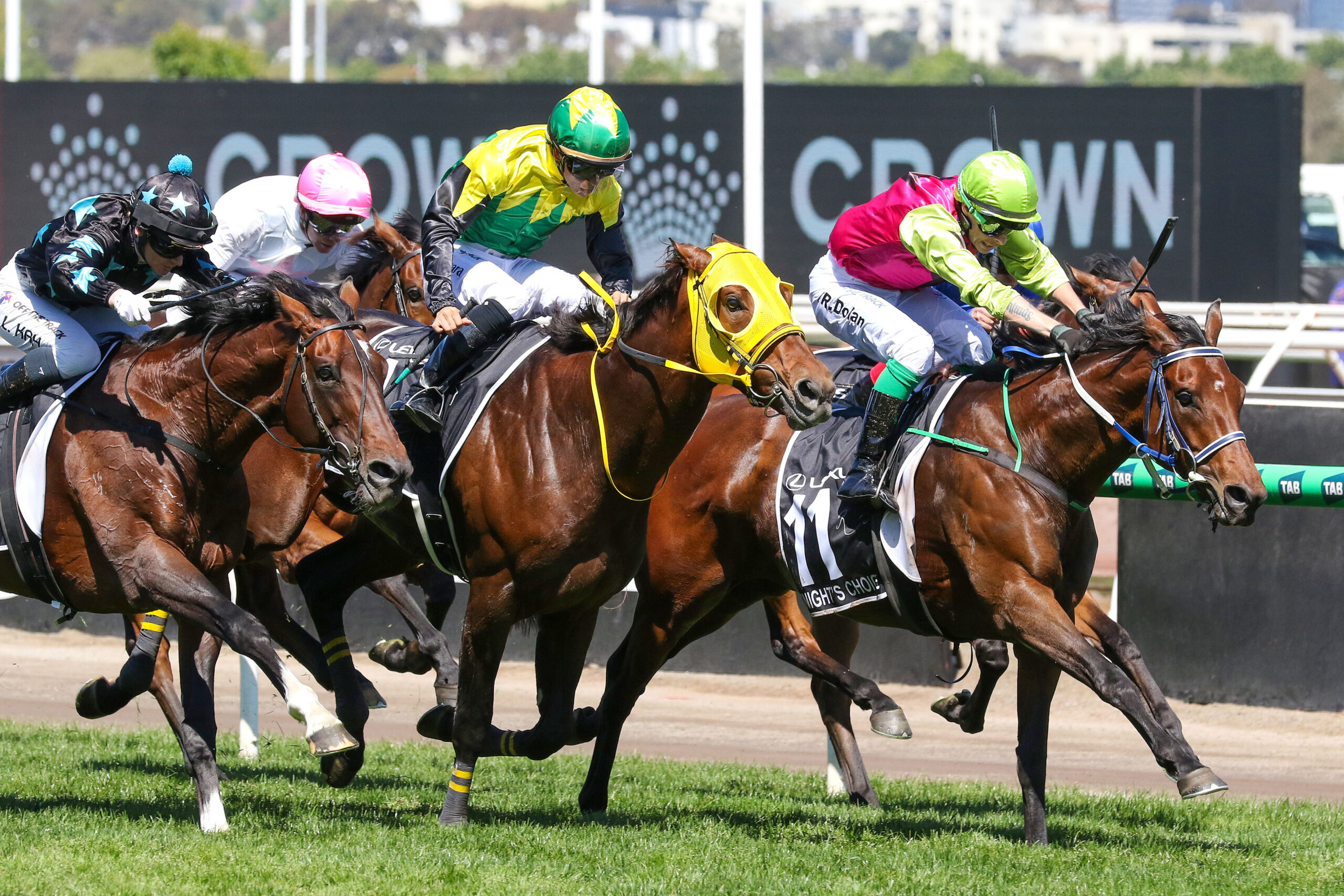 Knight’s Choice returns after turbulent road since Melbourne Cup win ...