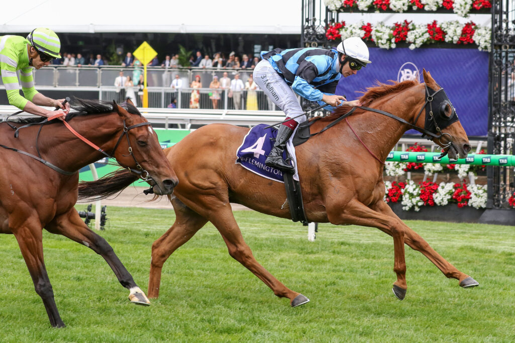 Roman smokes ’em in Queen Elizabeth Stakes | Just Horse Racing