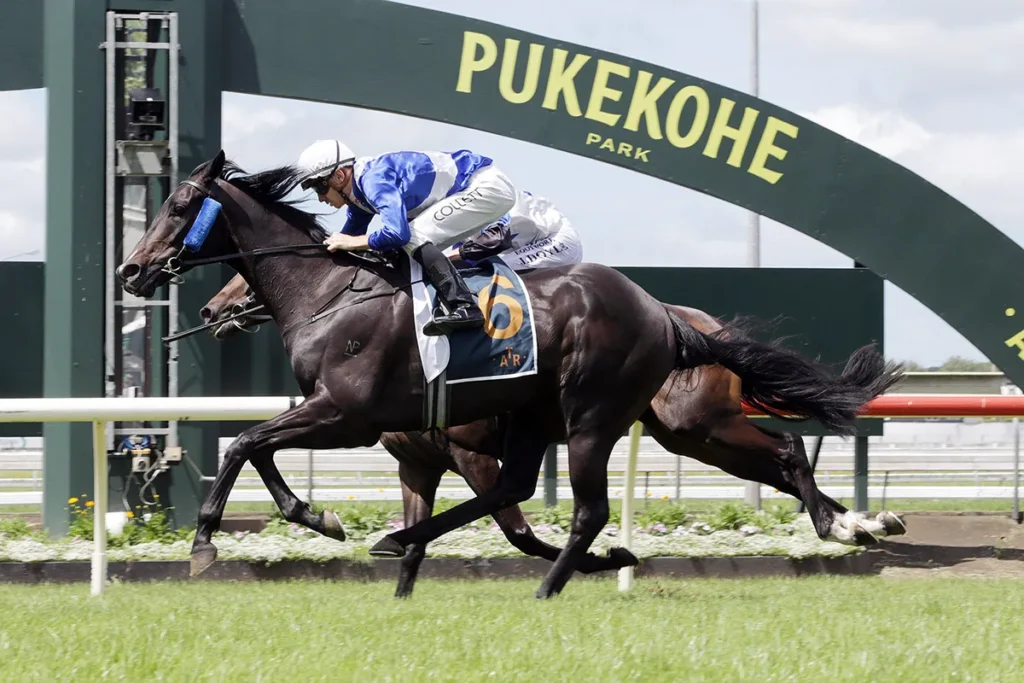 24/6/2026 Horse Racing Tips and Best Bets – Pukekohe Park | Just Horse ...