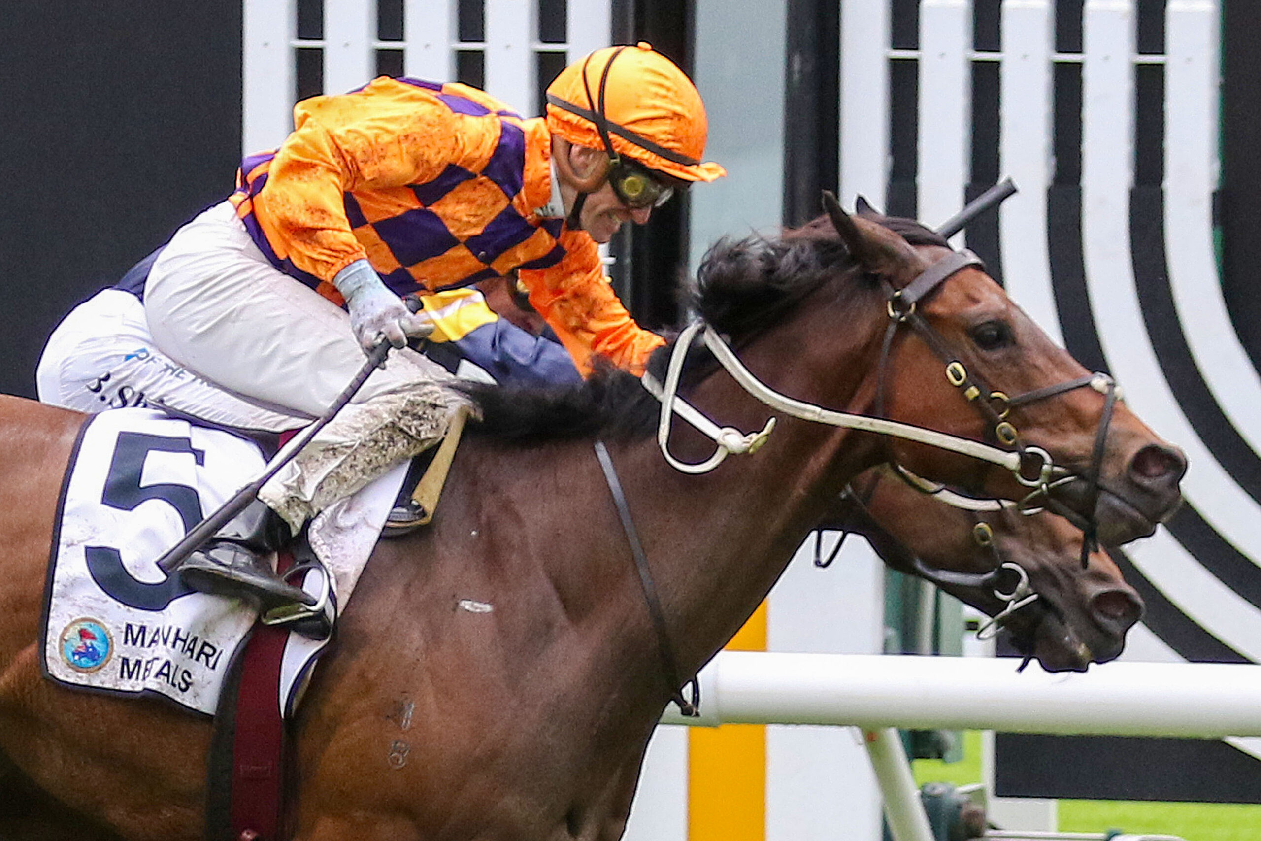 Bernborough Plate nominations – 2026 | Just Horse Racing