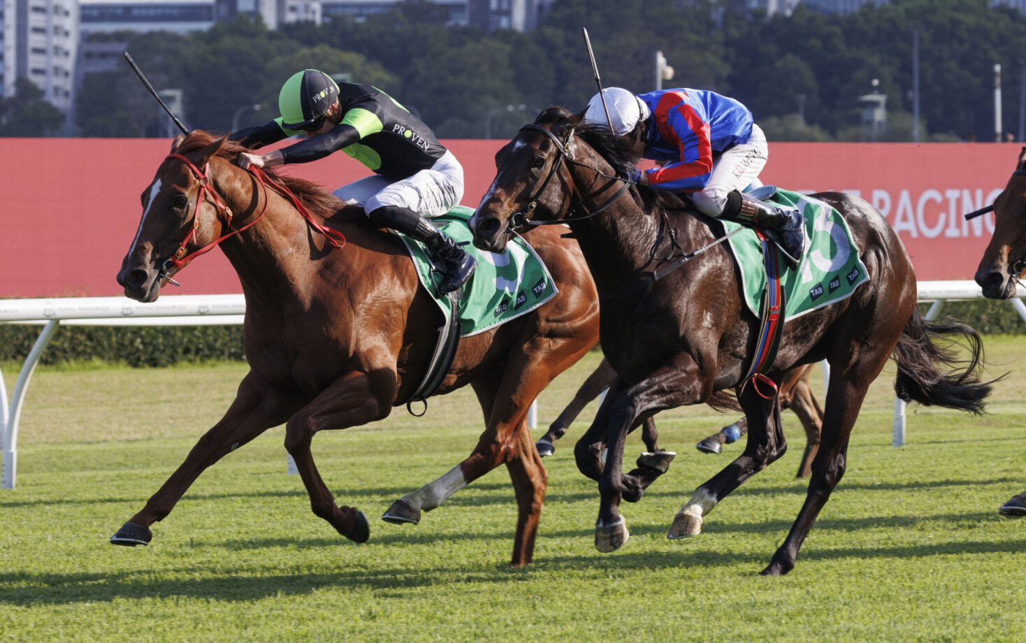 Accredited heads three-pronged sprint assault for stable | Just Horse ...
