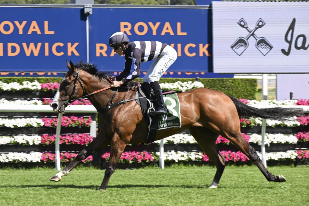 Bjorn Baker’s strong Rosehill hand | Just Horse Racing