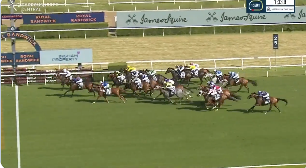 The Ingham results and replay – (Robusto) 2024 | Just Horse Racing