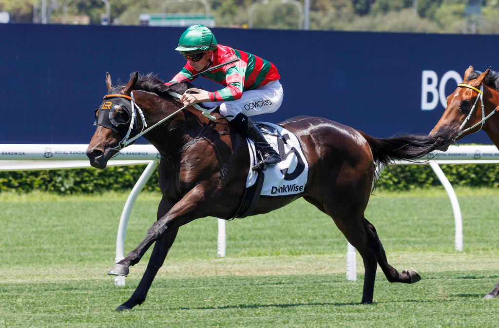 J Mac to ride Rivellino in Inglis Millennium | Just Horse Racing