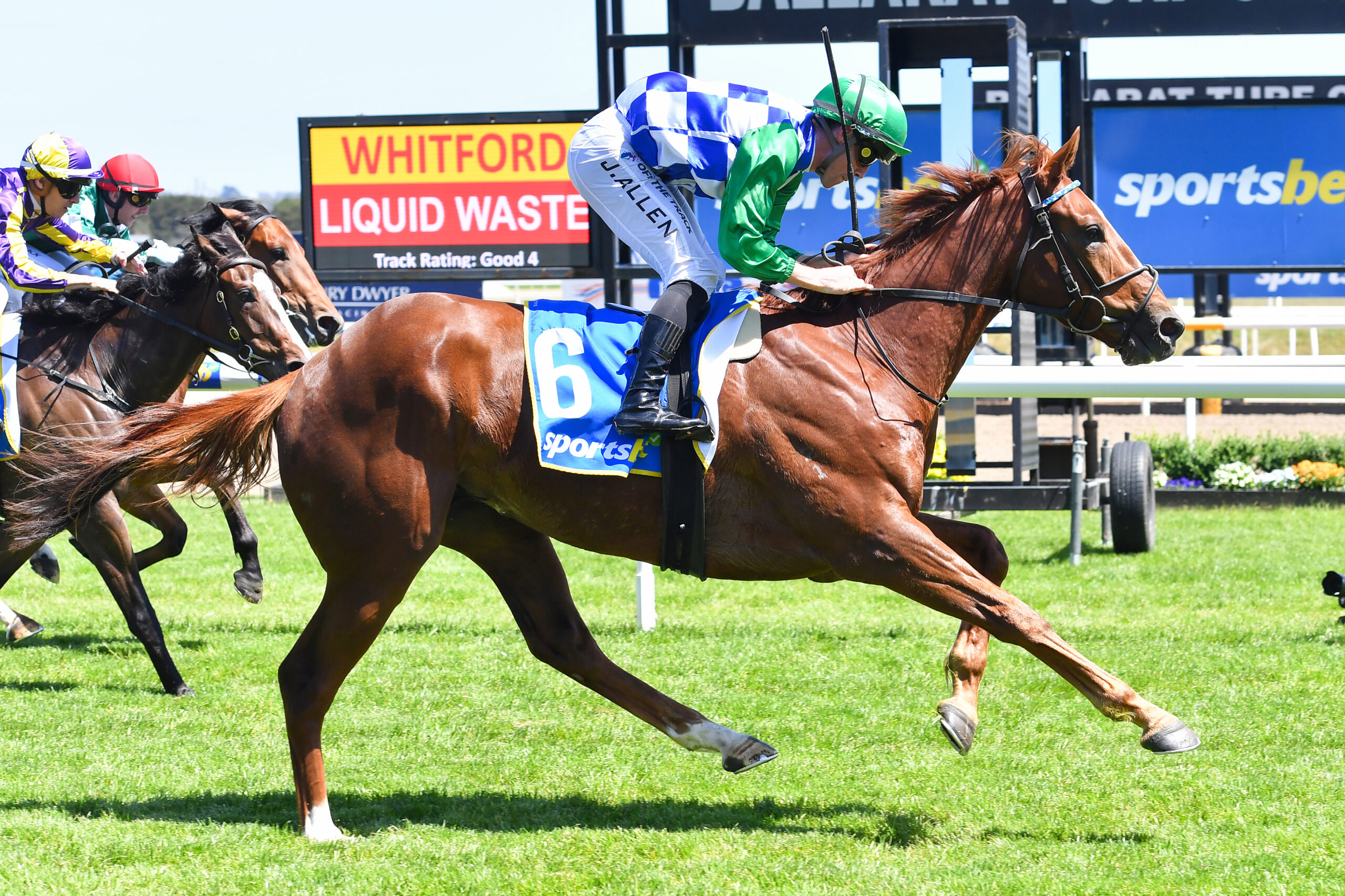 Archie Alexander’s gelding heading Somewhere | Just Horse Racing