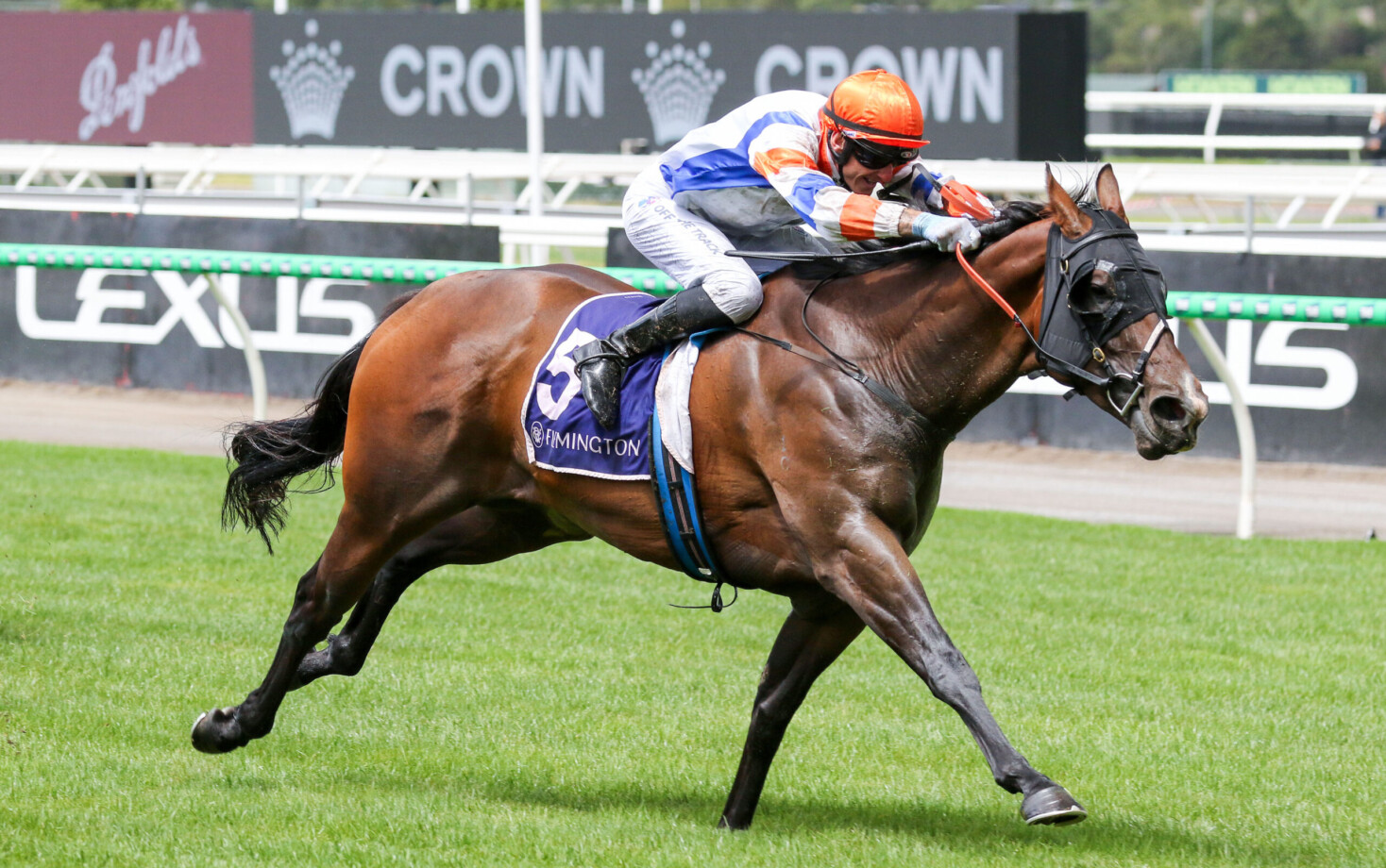 McEvoy mare to show she’s Bossy at Flemington | Just Horse Racing