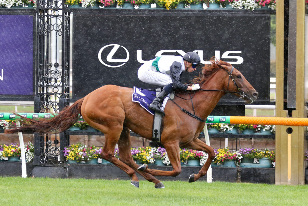 Lindsay Park split stablemates in Stakes races | Just Horse Racing