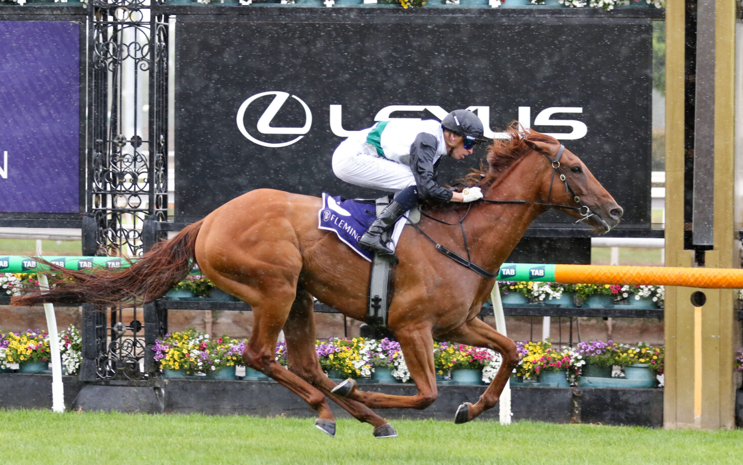 Lindsay Park split stablemates in Stakes races | Just Horse Racing