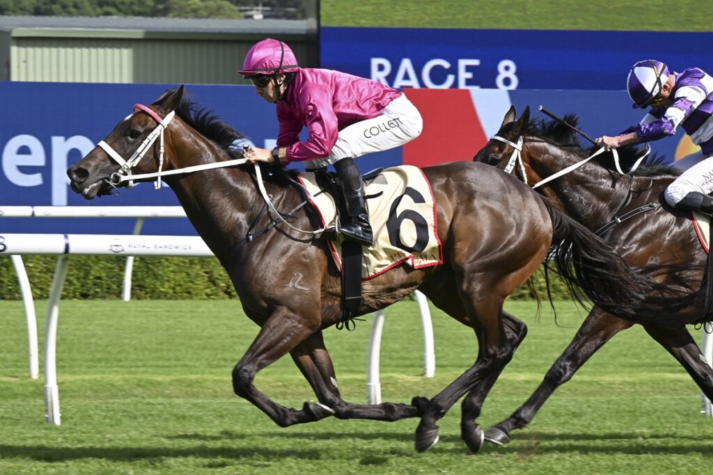 Fangirl out for George Ryder Stakes redemption | Just Horse Racing