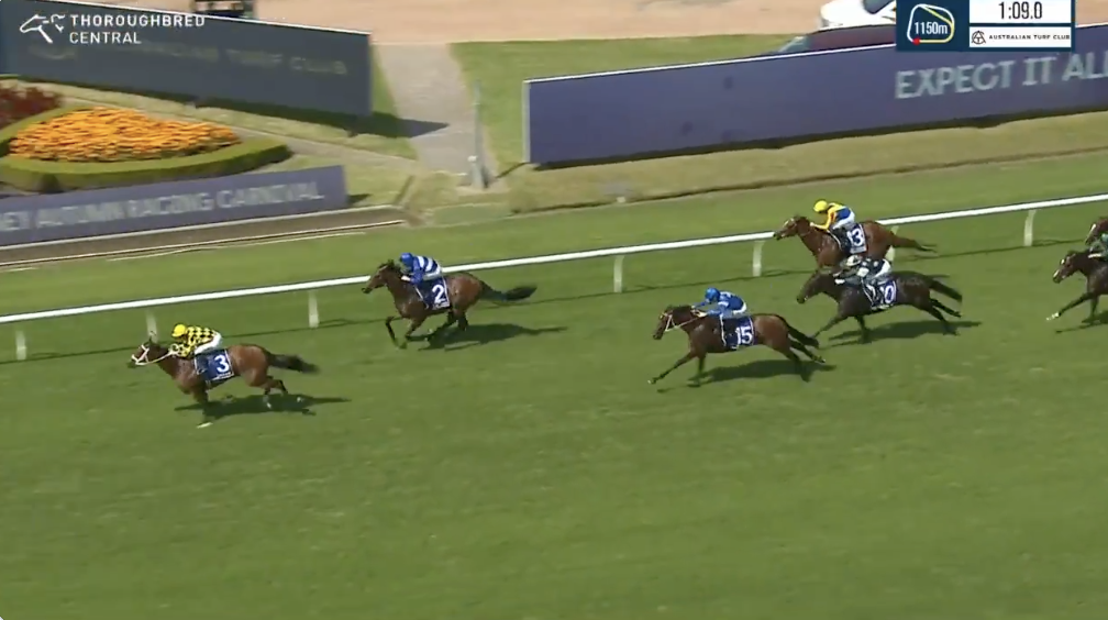 Darby Munro Stakes results and replay – (Autumn Glow) 2025 | Just Horse ...